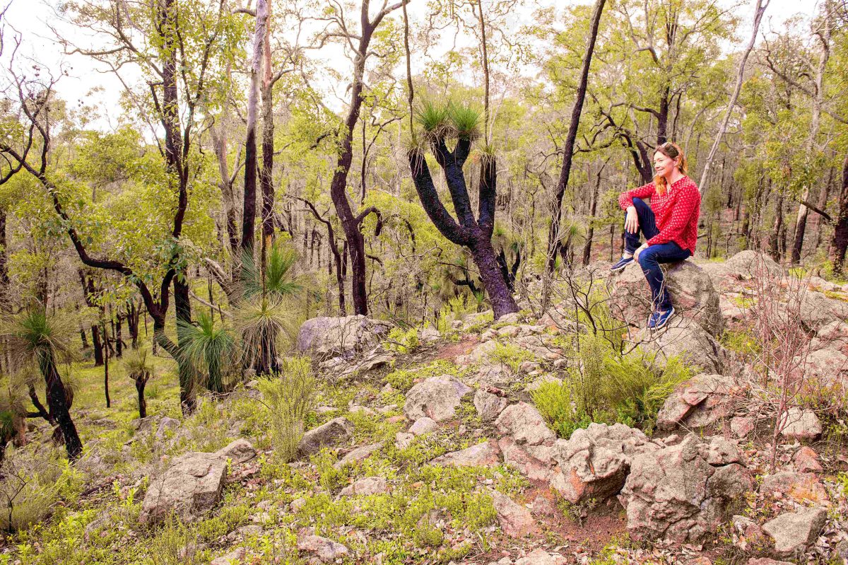 ATTRACTIONS - things to see and do